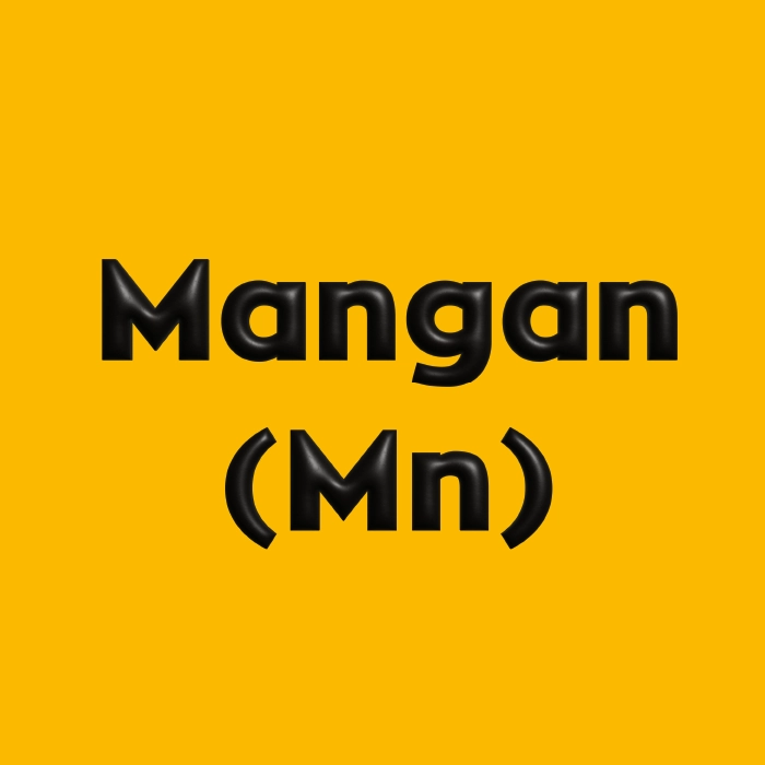 Mangan (Mn) - hayvanbesleme.com