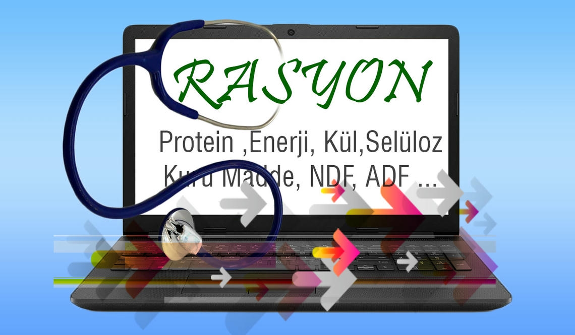 Yemde Rasyon Nedir ? Nelere Dikkat Etmeli ? - hayvanbesleme.com